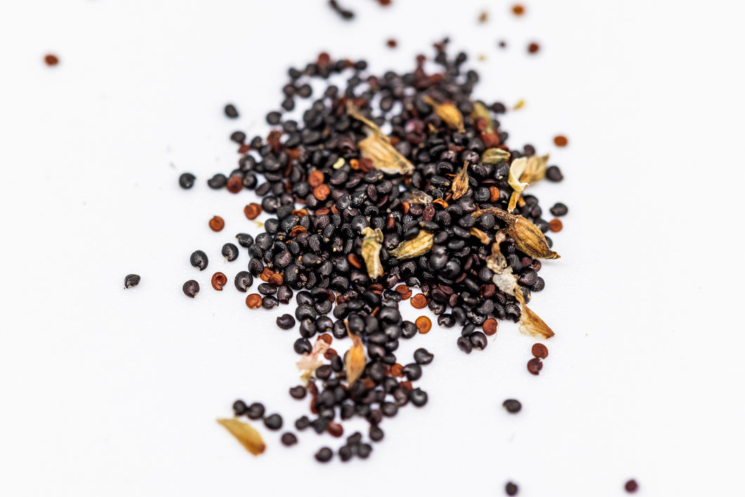 Nigerian Waterleaf (Gbure) Seeds – OsiAfrik